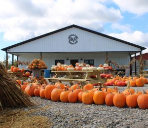 Hidden View Farmstead - Locally Grown & Family Owned