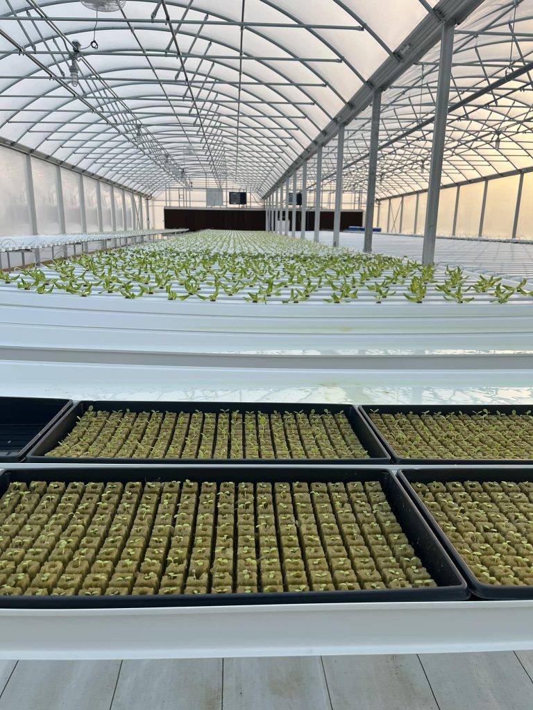 Privacy Policy - Hidden View Farmstead